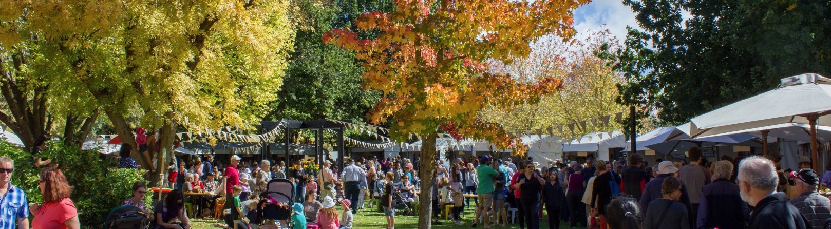 Festivals in the Barossa Valley